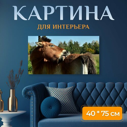 Картина на холсте "Лошадь, зуд, царапать" на подрамнике 75х40 см. для интерьера
