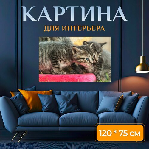 Картина на холсте "Кошка, домашний питомец, играть" на подрамнике 120х75 см. для интерьера