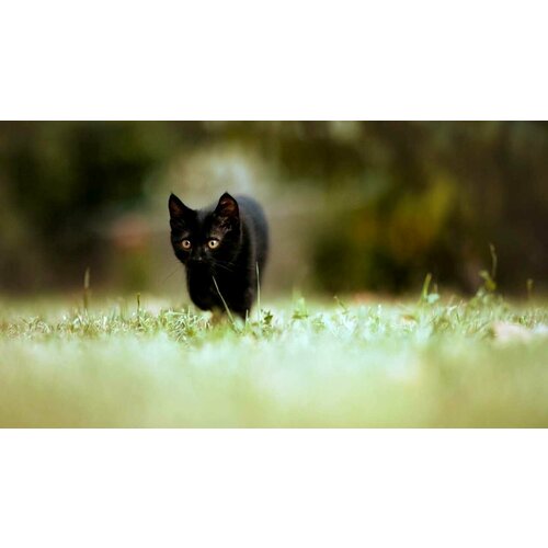 Картина на холсте 60x110 LinxOne "Черный кот" интерьерная для дома / на стену / на кухню / с подрамником