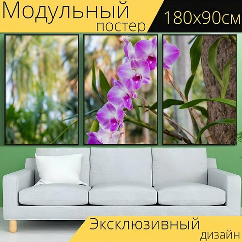 Модульный постер "Орхидея, ротанг, ротанг орхидея" 180 x 90 см. для интерьера