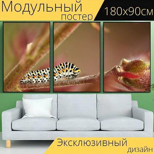 Модульный постер "Гусеница, ласточкин хвост, макрос" 180 x 90 см. для интерьера