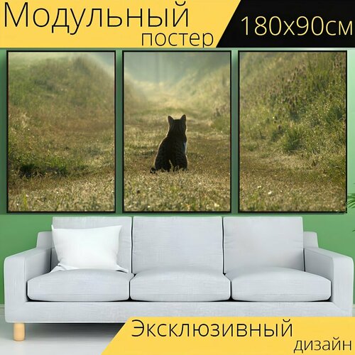 Модульный постер "Кошка, туман, природа" 180 x 90 см. для интерьера