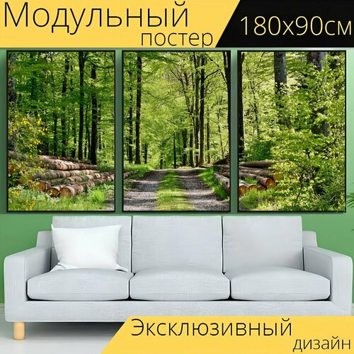 Модульный постер "Природа, лес, лесная тропа" 180 x 90 см. для интерьера