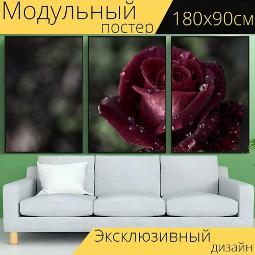 Модульный постер "Роза, цвести, мрачный" 180 x 90 см. для интерьера