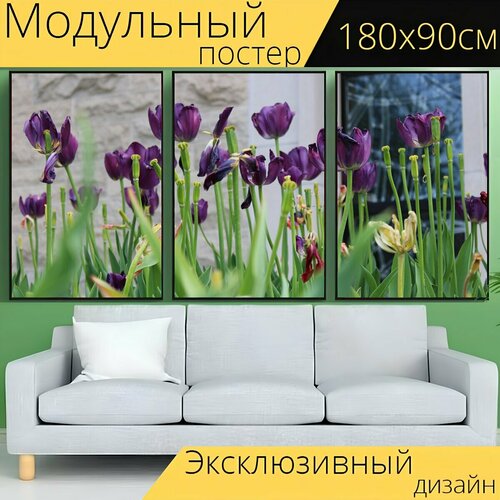 Модульный постер "Цветок, крокус, весна" 180 x 90 см. для интерьера