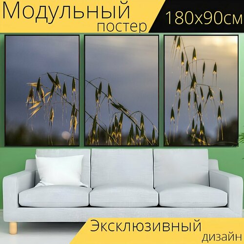 Модульный постер "Трава, семена, завод" 180 x 90 см. для интерьера