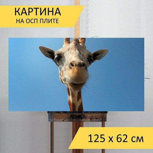 Картина на ОСП 125х62 см. "Жирафа, животное, лес" горизонтальная, для интерьера, с креплениями