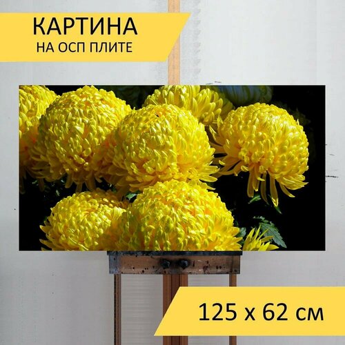 Картина на ОСП 125х62 см. "Хризантемы, цветы, желтый" горизонтальная, для интерьера, с креплениями