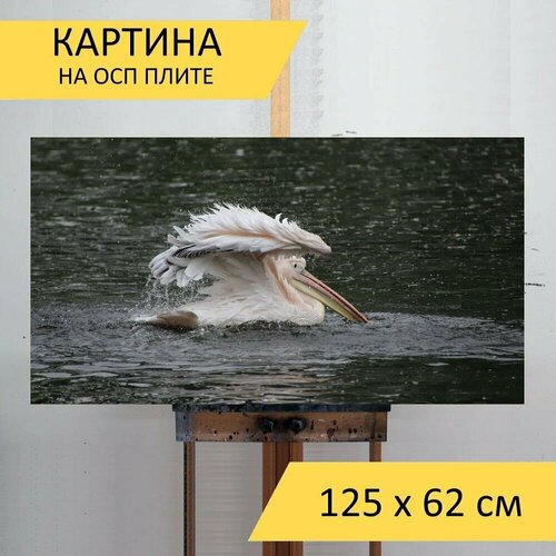 Картина на ОСП 125х62 см. "Пеликан, птица, озеро" горизонтальная, для интерьера, с креплениями