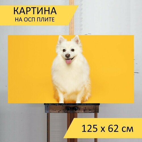 Картина на ОСП 125х62 см. "Шпиц, собака, домашний питомец" горизонтальная, для интерьера, с креплениями