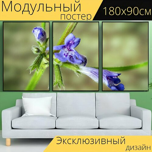 Модульный постер "Земляной плющ, полевой цветок, фиолетовый" 180 x 90 см. для интерьера