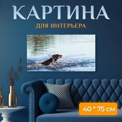 Картина на холсте "Доберман, собака в воде, собака" на подрамнике 75х40 см. для интерьера