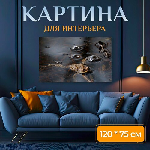 Картина на холсте "Лягушка, пруд, животное" на подрамнике 120х75 см. для интерьера