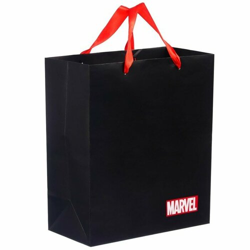 MARVEL Пакет ламинированный вертикальный, 23 х 27 х 11 см "Marvel", Мстители
