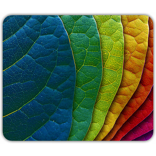 Коврик для мыши "Разноцветные листья" (24 x 20 см x 3 мм)