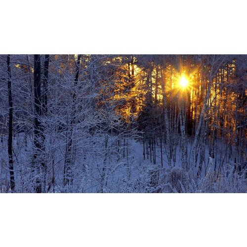 Картина на холсте 60x110 Альянс Лес "Зима лес солнце иней лучи" на подрамнике / интерьер/ декор