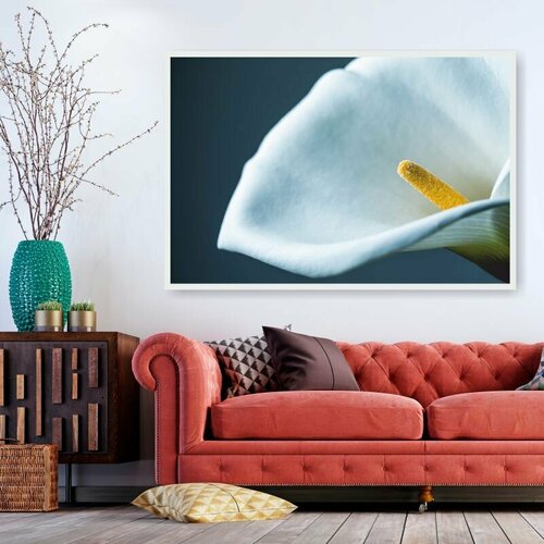 Постер для интерьера Белый Цветок Калла 70х50 см в тубусе ПолиЦентр