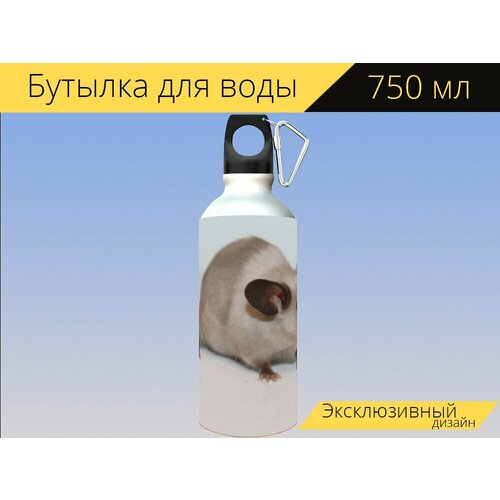 Бутылка фляга для воды "Мышь, грызун, крыса" 750 мл. с карабином и принтом