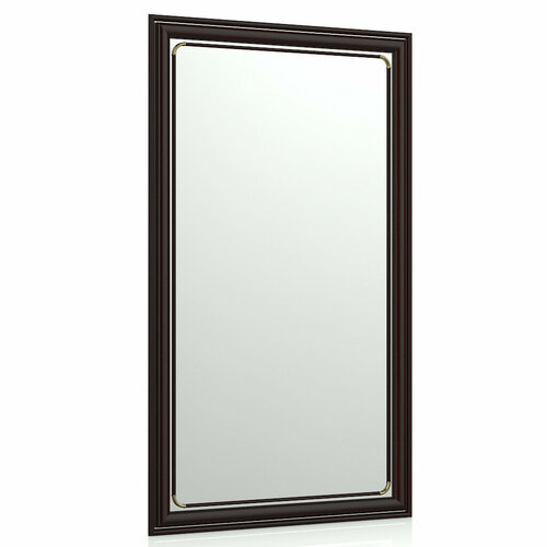Зеркало 121С махагон, ШхВ 55х95 см, зеркала для офиса, прихожих и ванных комнат, горизонтальное или вертикальное крепление