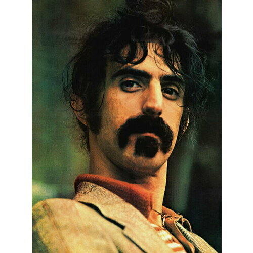 Плакат, постер на бумаге Frank Zappa/Фрэнк Заппа/музыкальные/поп исполнитель/артист/поп-звезда/группа. Размер 30 х 42 см