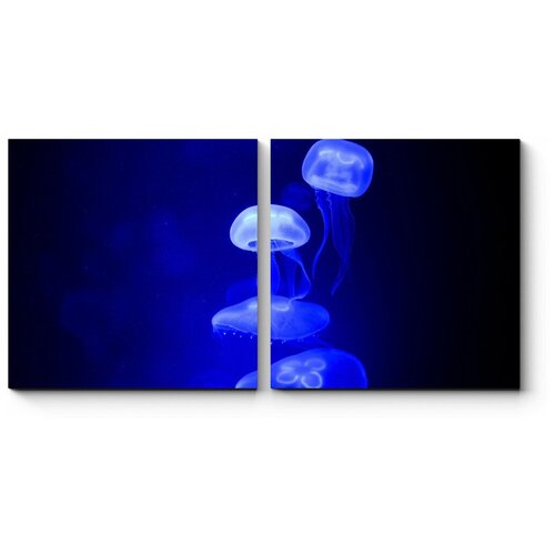 Модульная картина Медузы плывущие к свету 60x30