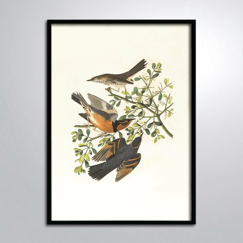 Постер в раме/Постер для интерьера/Современное искусство Гобелен Птицы на ветке Рисунок