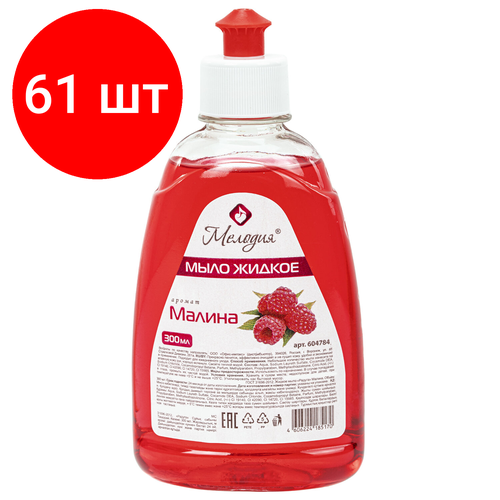 Комплект 61 шт, Мыло жидкое 300 мл, мелодия "Малина", пуш-пул, 604784