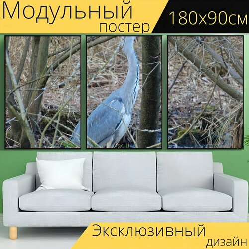 Модульный постер "Серая цапля, цапля, птица" 180 x 90 см. для интерьера