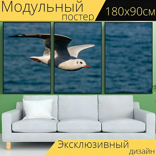 Модульный постер "Птица, озеро, боденское озеро" 180 x 90 см. для интерьера