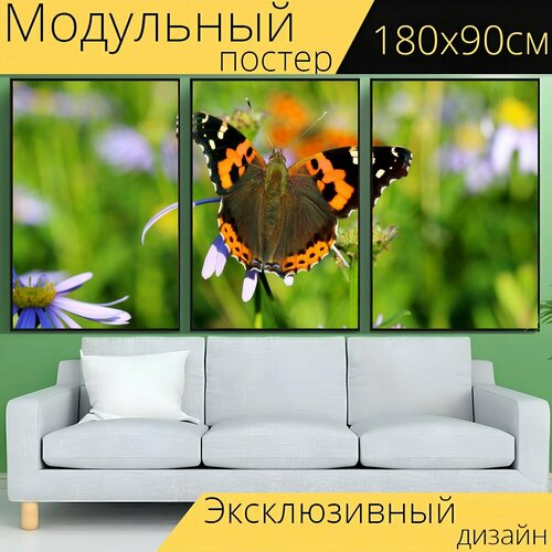 Модульный постер "Маленькая причудливая бабочка, ванесса кардуи, нарисованная дама" 180 x 90 см. для интерьера