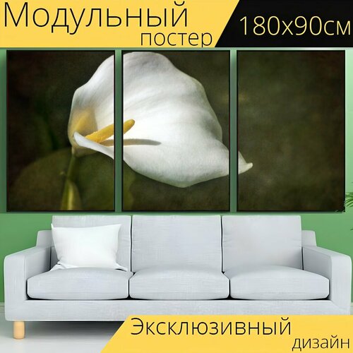 Модульный постер "Водяная лилия, белый, ботаника" 180 x 90 см. для интерьера