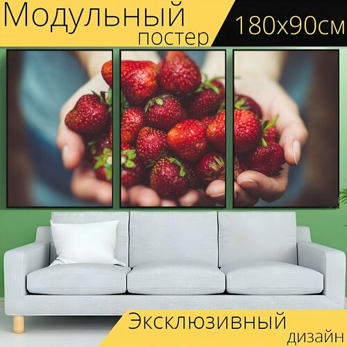 Модульный постер "Клубника, руки, уборка урожая" 180 x 90 см. для интерьера