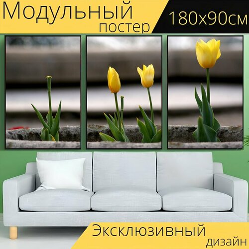 Модульный постер "Тюльпаны, цветочный, растения" 180 x 90 см. для интерьера
