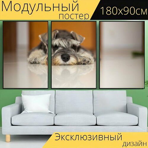Модульный постер "Милый, собака, животное" 180 x 90 см. для интерьера
