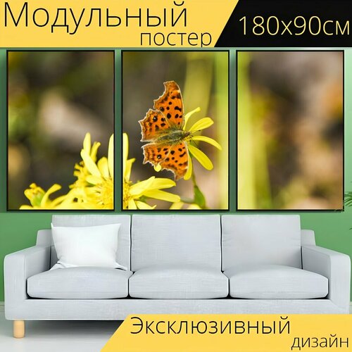 Модульный постер "Бабочка, животное, цветы" 180 x 90 см. для интерьера