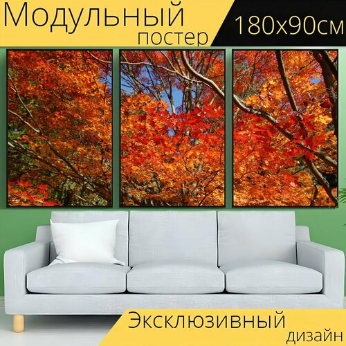 Модульный постер "Великолепный, цветной, осень" 180 x 90 см. для интерьера