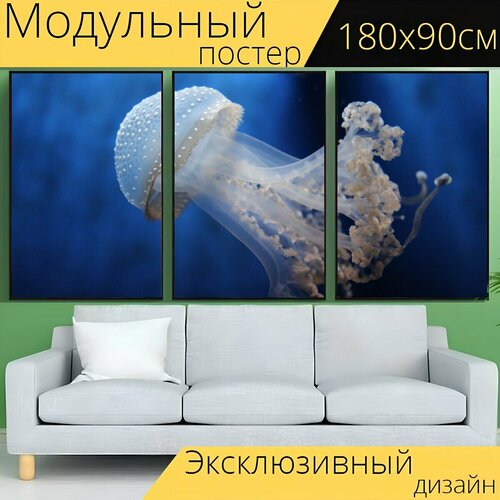 Модульный постер "Медуза, генуя, аквариум" 180 x 90 см. для интерьера