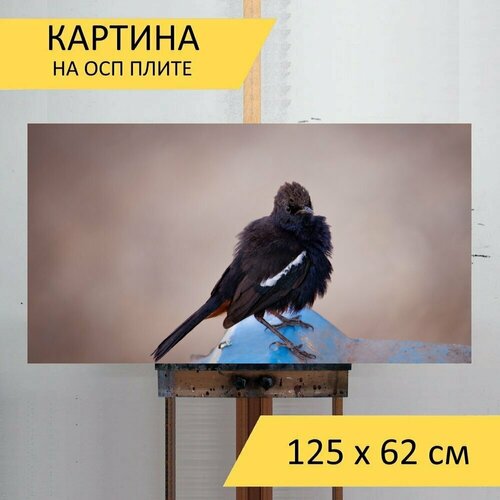 Картина на ОСП 125х62 см. "Птица, робин, перья" горизонтальная, для интерьера, с креплениями