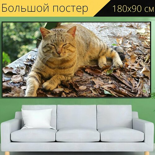 Большой постер "Животное, природа, кошка" 180 x 90 см. для интерьера
