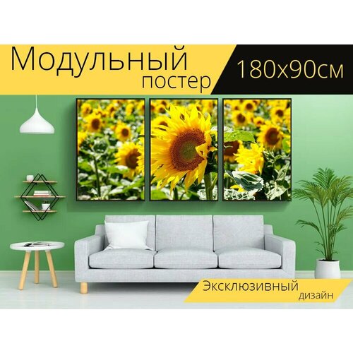 Модульный постер "Подсолнухи, цвести, летом" 180 x 90 см. для интерьера