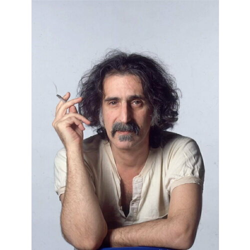 Плакат, постер на холсте Frank Zappa/Фрэнк Заппа/музыкальные/поп исполнитель/артист/поп-звезда/группа. Размер 30 х 42 см