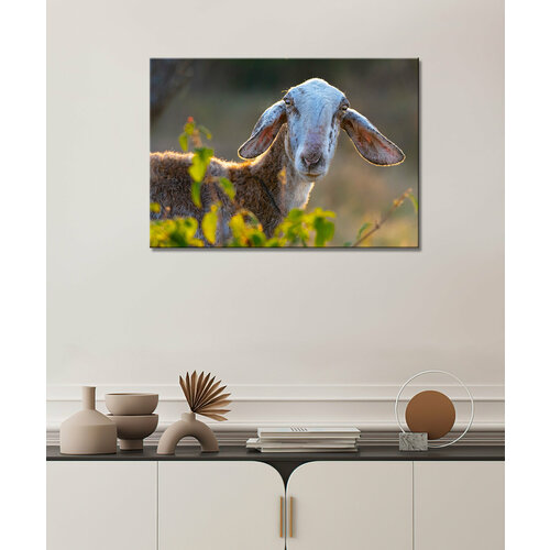 Картина - Коза, козел, безрогая коза, домашняя коза (8) 20х30