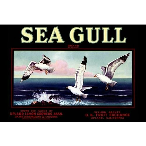 Плакат, постер на бумаге иностранный Sea Gull brand. Размер 30 х 42 см