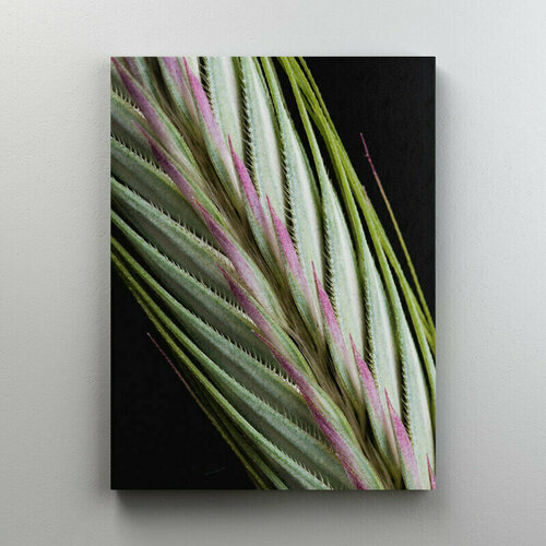 Интерьерная картина на холсте "Макросъемка - зеленое растение" размер 22x30 см
