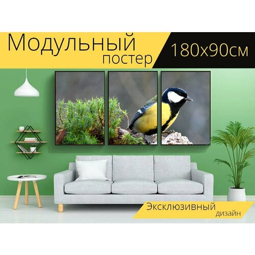 Модульный постер "Синица, лес, желтый" 180 x 90 см. для интерьера