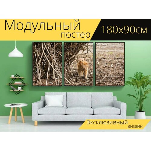 Модульный постер "Кот, животные, прогулка" 180 x 90 см. для интерьера