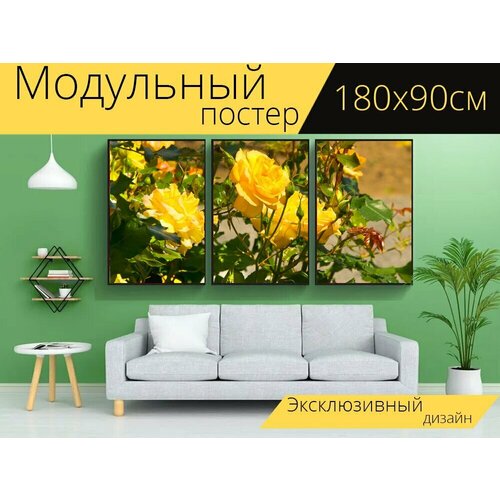 Модульный постер "Розы, желтый, желтая роза" 180 x 90 см. для интерьера