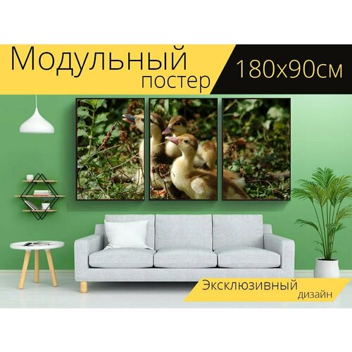 Модульный постер "Утята, утки, утка" 180 x 90 см. для интерьера