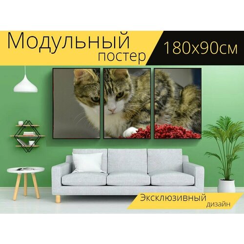 Модульный постер "Кот, пушистый, красивый кот" 180 x 90 см. для интерьера