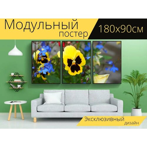 Модульный постер "Анютины глазки, цветок, сад" 180 x 90 см. для интерьера